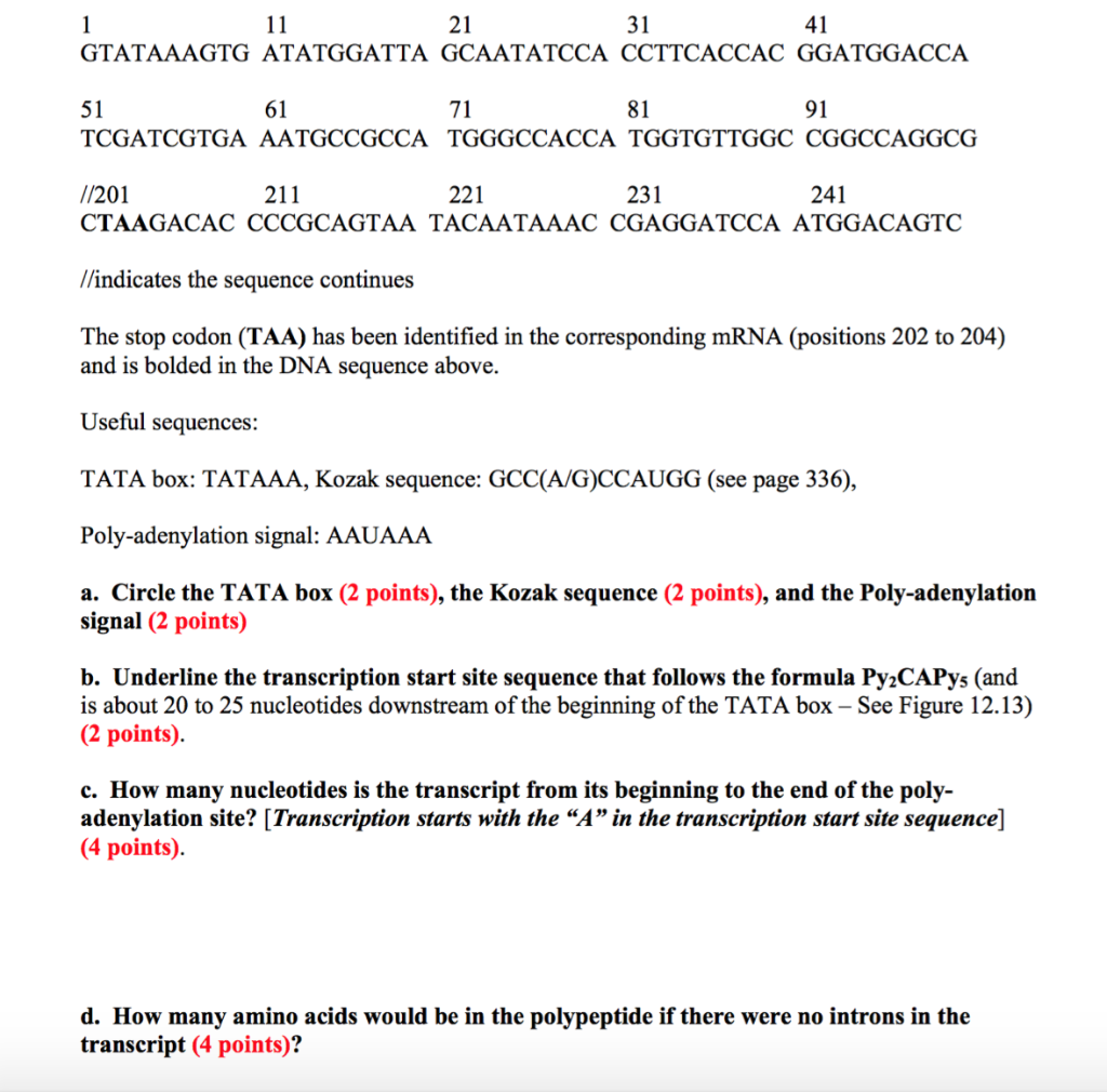 Solved The DNA sequence below comes from the coding strand | Chegg.com