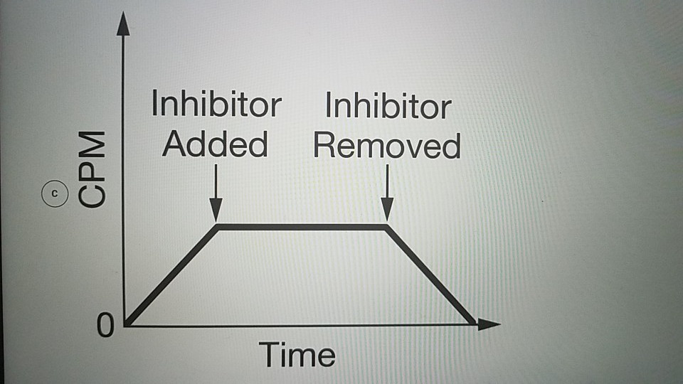 Solved Cycloheximide (CHX) is a eukaryote protein synthesis | Chegg.com