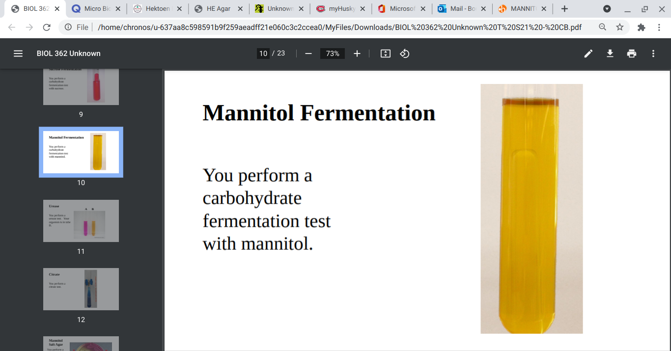 Solved Identify the results of the tests for the unknown. | Chegg.com