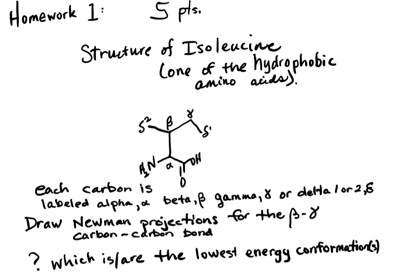 Solved 5 pts. Homework 1: Structure of Isoleucine Lone of | Chegg.com