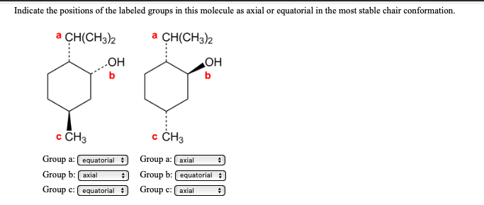 Solved Indicate the positions of the labeled groups in this | Chegg.com