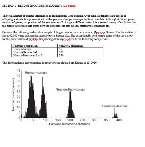 Solved SECTION 2: RECONSTRUCTING PHYLOGENY (2.5 points) The | Chegg.com