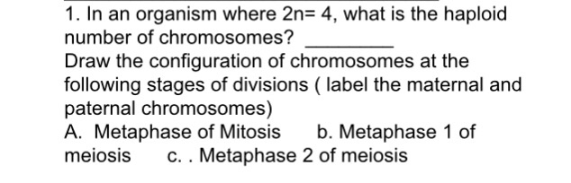 Solved 1. In an organism where 2n 4, what is the haploid | Chegg.com