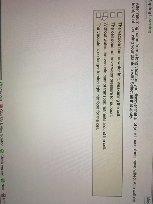 Solved Which conditions would cause diffusion to happen more | Chegg.com