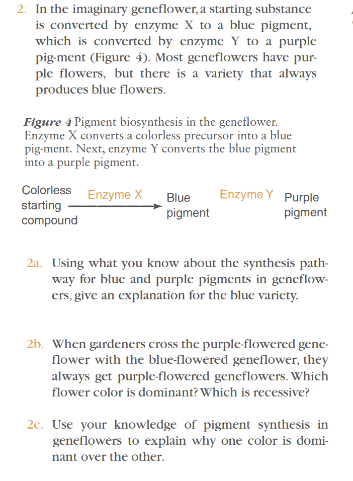 Solved 2. In the imaginary geneflower, a starting substance | Chegg.com