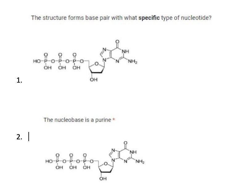 Solved The structure forms base pair with what specific type | Chegg.com
