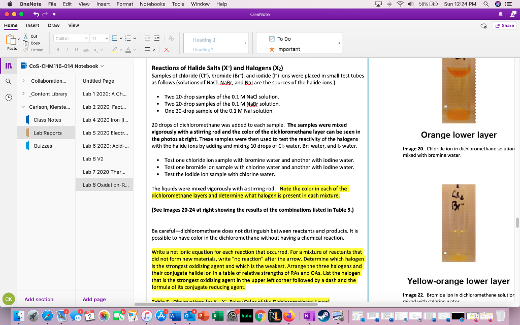 OneNote File Edit View Insert Format Notebooks Tools | Chegg.com