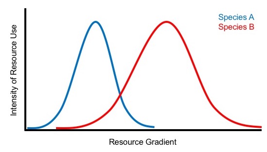 Solved 1. According to the Intermediate Disturbance | Chegg.com