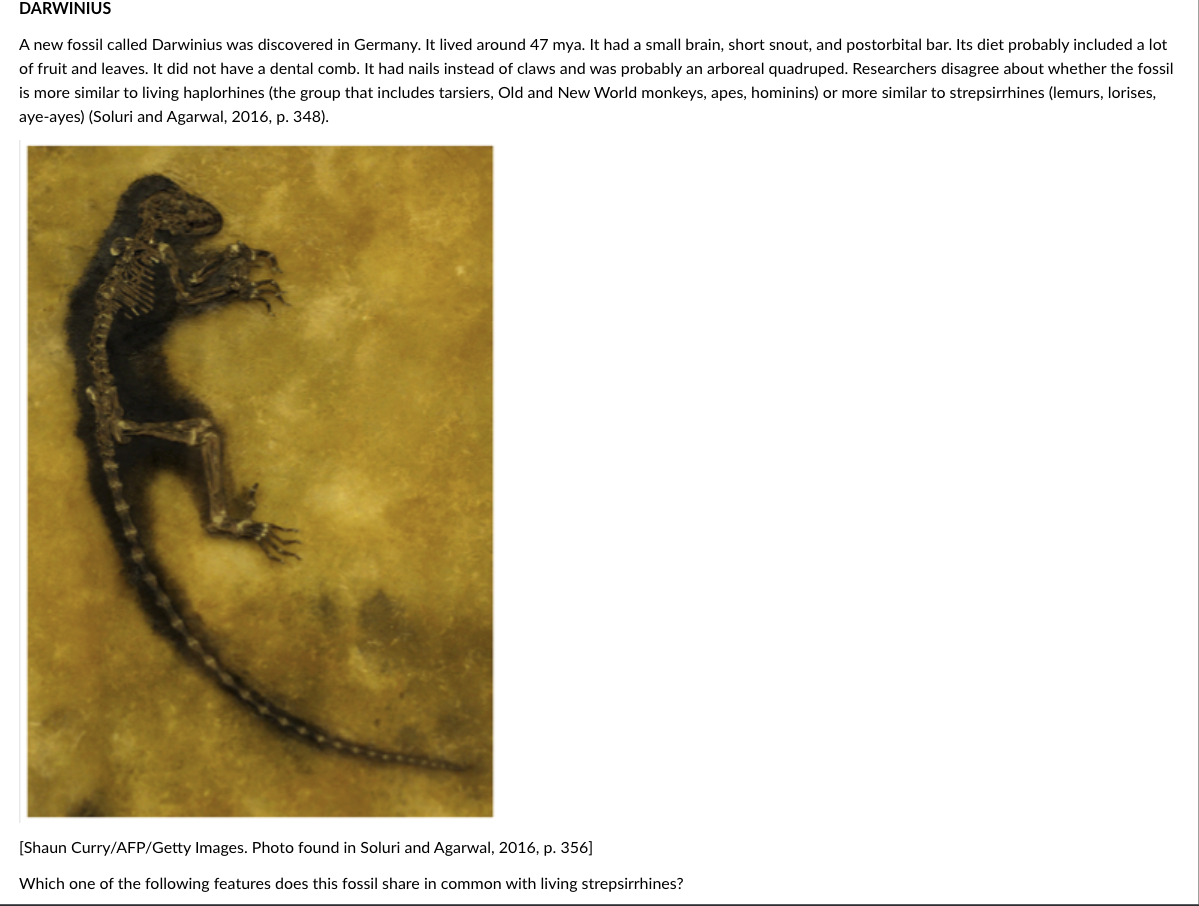 Solved PLESIADAPIFORMS In 2002, researchers reported the | Chegg.com