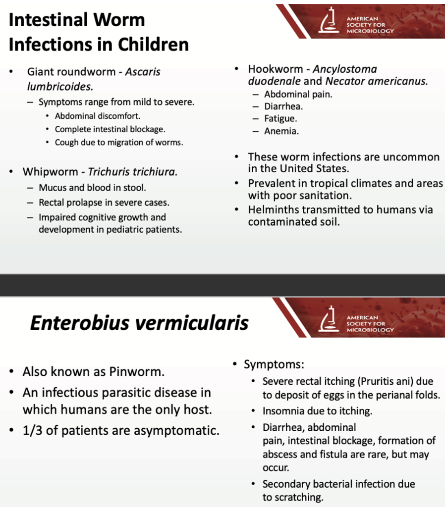 Solved Read the following pictures regarding "Enterobius | Chegg.com