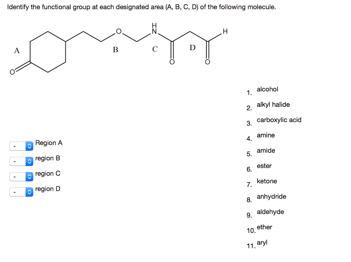 Solved Identify the functional group at each designated area | Chegg.com