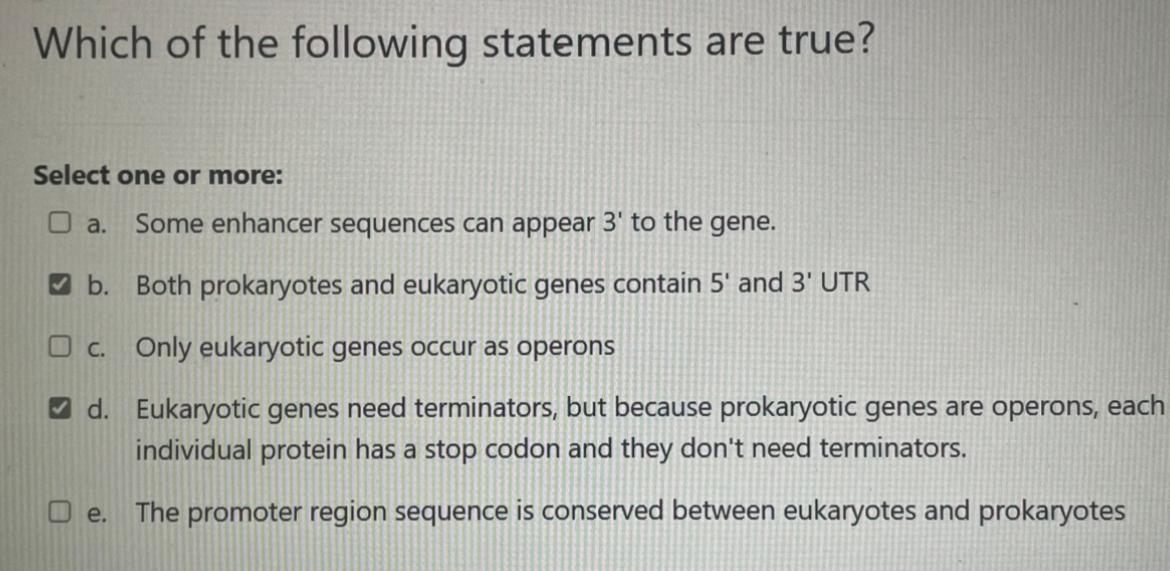 Solved N-terminus of the protein 5′ end of the mRNA First | Chegg.com