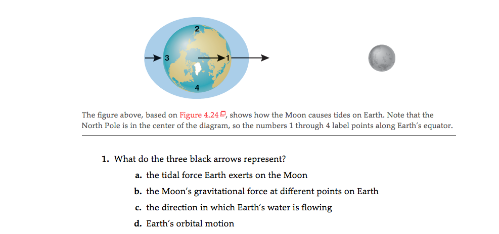 Solved How does Gravity Cause Tides? The Moon's gravity | Chegg.com