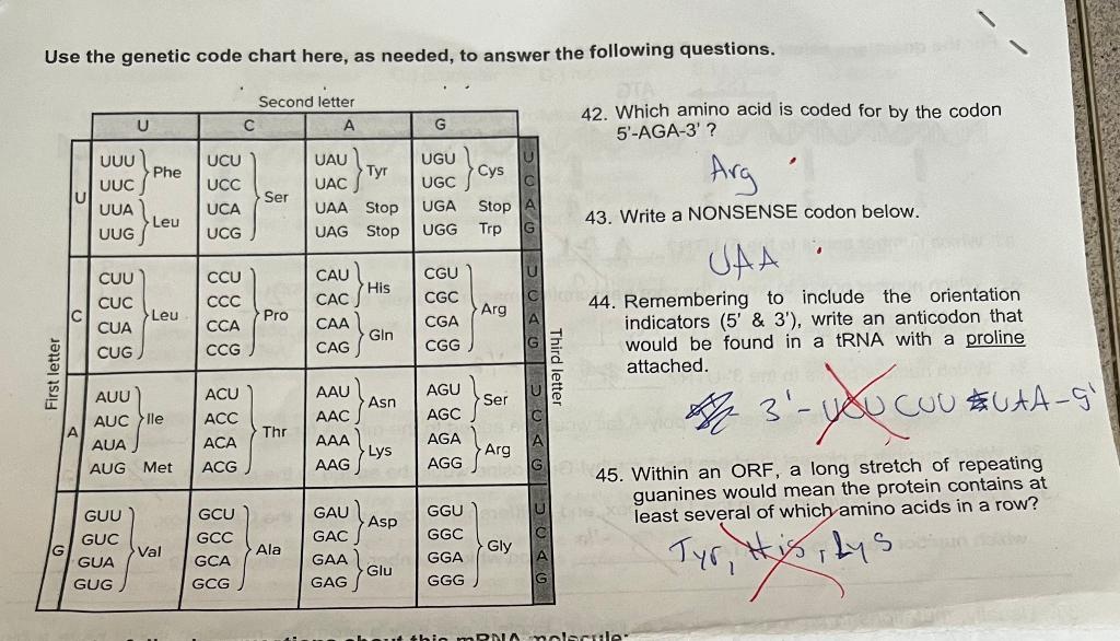 Solved Use the genetic code chart here, as needed, to answer | Chegg.com