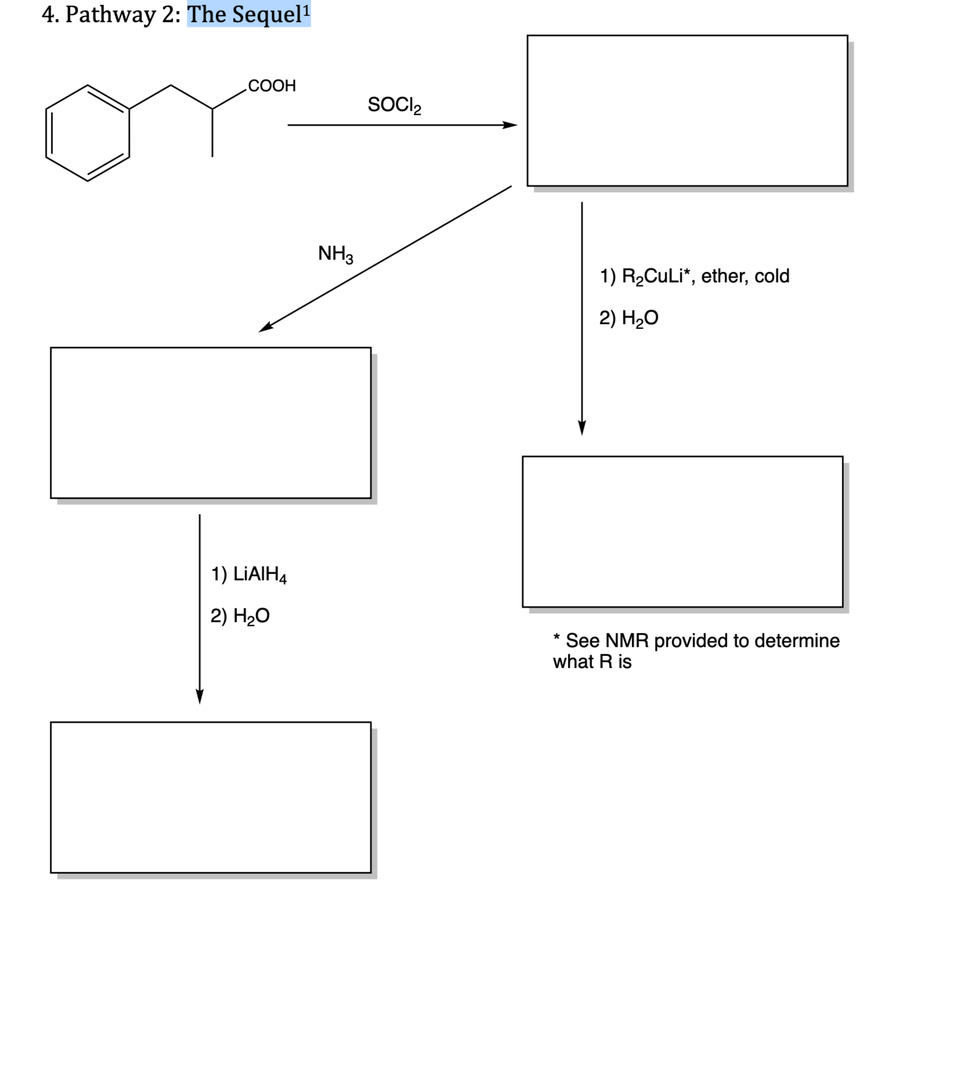 Pathway 2: The Sequel^1please draw complete | Chegg.com