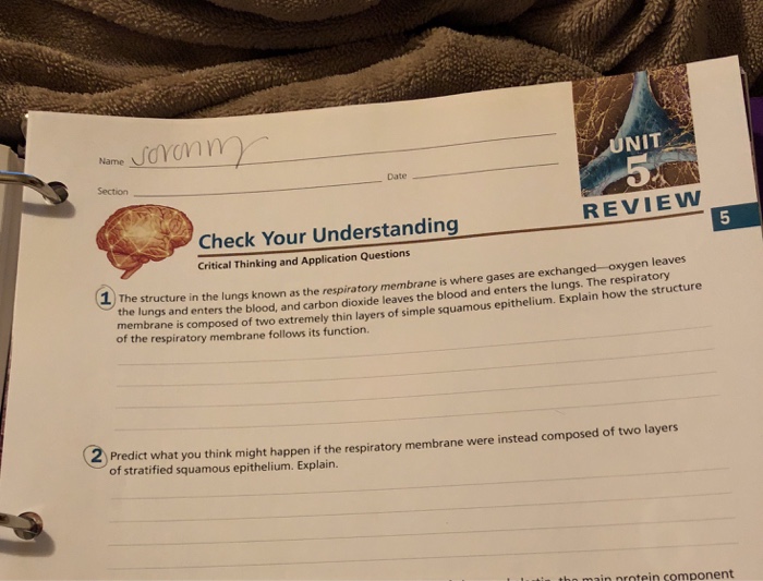 Solved UNIT Section Date REVIEW Check Your Understanding | Chegg.com