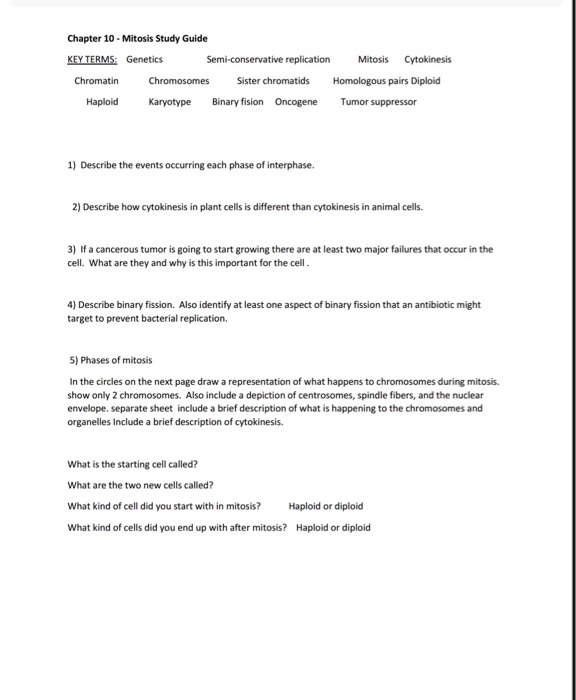 Solved Chapter 10- Mitosis Study Guide replication Mitosis | Chegg.com