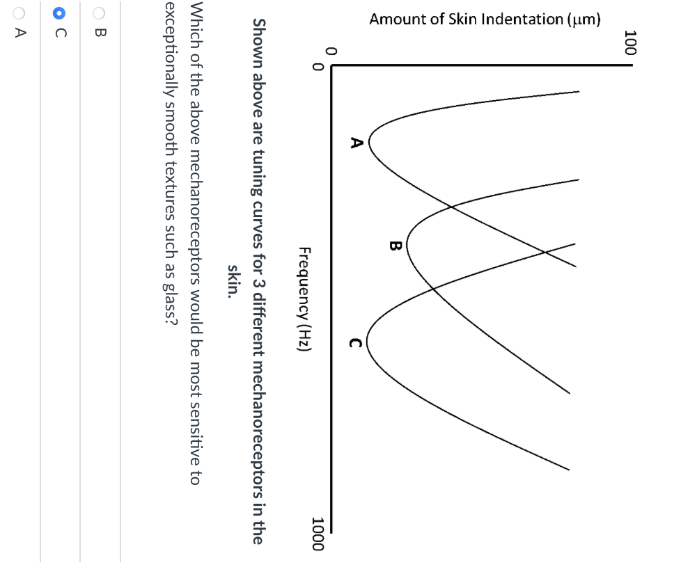 Solved Amount of Skin Indentation (μm) | Chegg.com