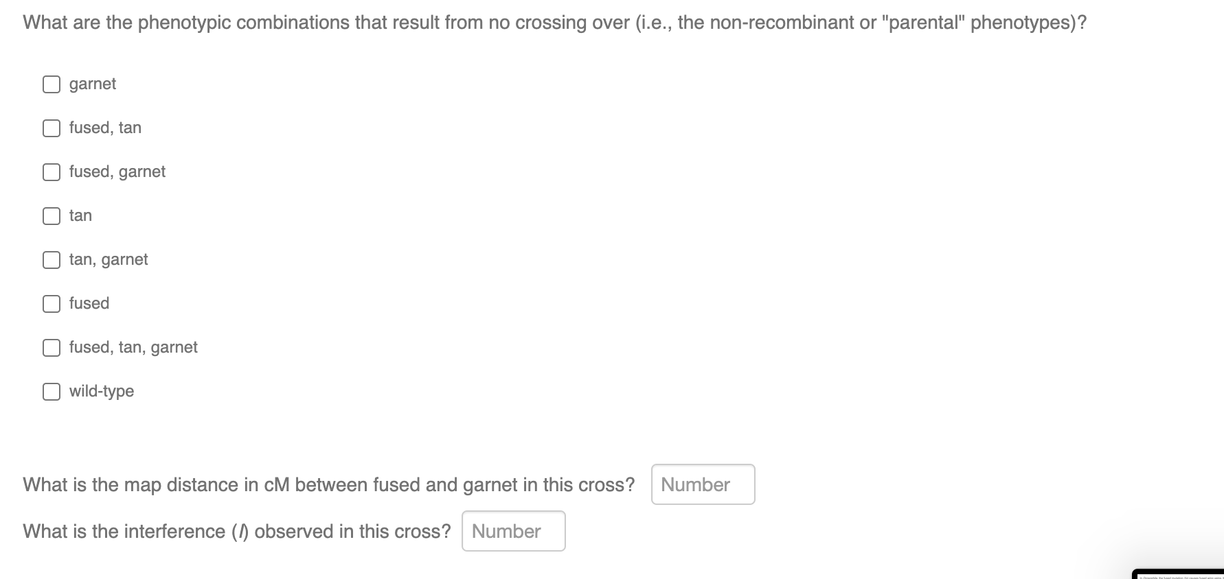 Solved In Drosophila, the fused mutation (fu) causes fused | Chegg.com