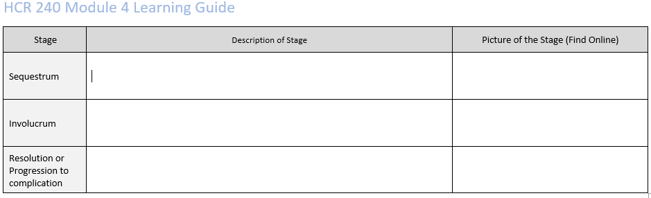 Solved HCR 240 Module 4 Learning Guide | Chegg.com