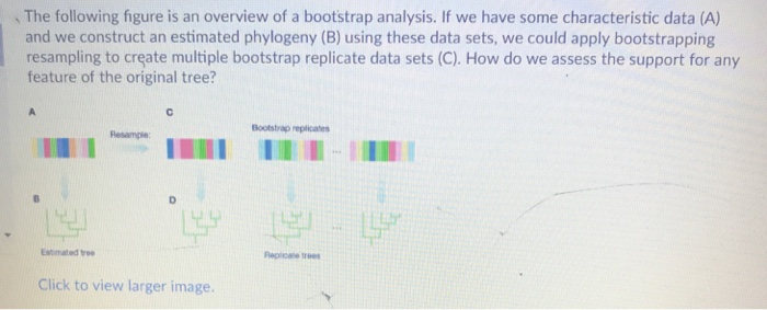 The following figure is an overview of a bootstrap | Chegg.com