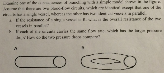 Solved Examine one of the consequences of branching with a | Chegg.com