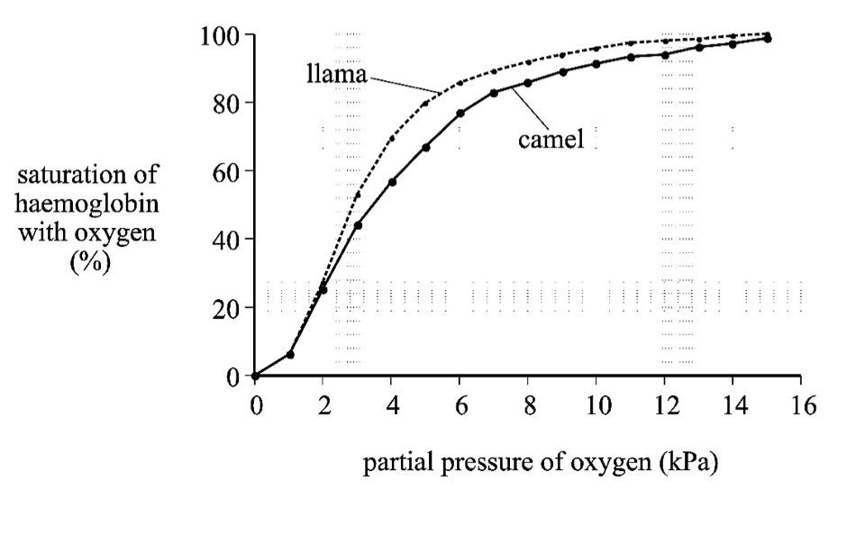 Solved A llama, a relative of the camel. One amino acid | Chegg.com