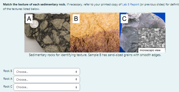 Solved options are rounded, medium grained, and well sorted; | Chegg.com