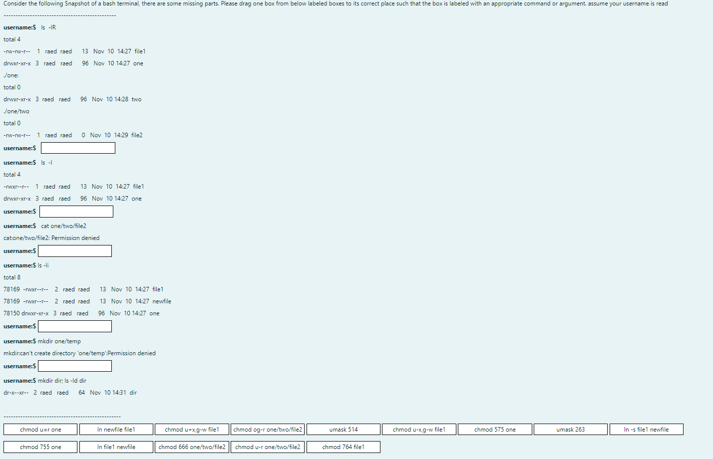 Solved Consider the following Snapshot of a bash terminal, | Chegg.com