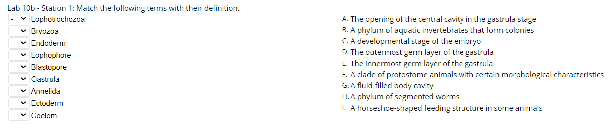 [Solved]: Lab 10a - Station 1: Match the following terms wi
