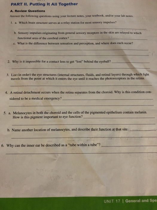 Solved PART II. Putting It All Together A. Review Questions | Chegg.com