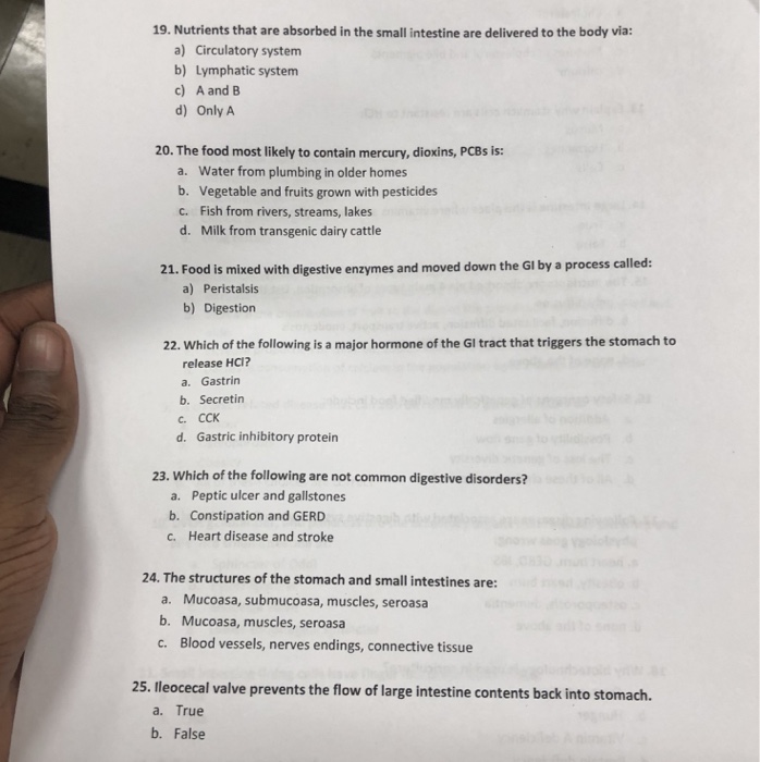 Solved 19. Nutrients that are absorbed in the small | Chegg.com