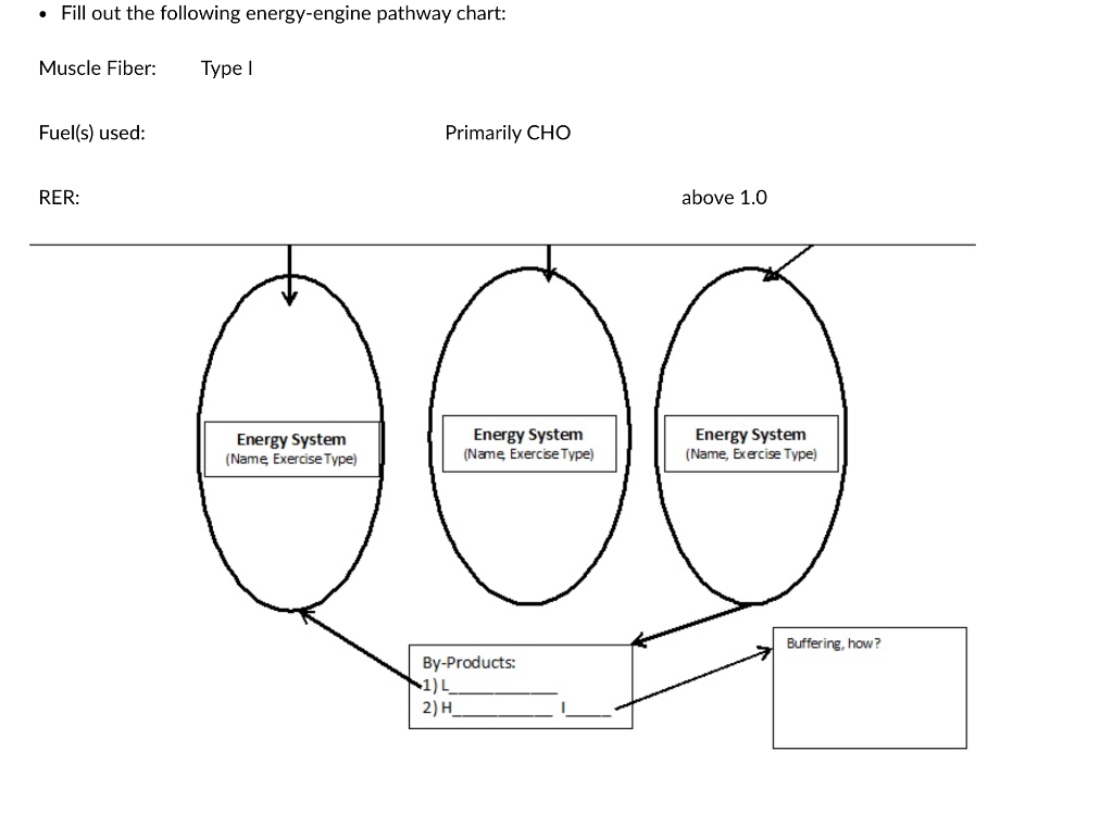 Fill out the following energy-engine pathway chart: | Chegg.com