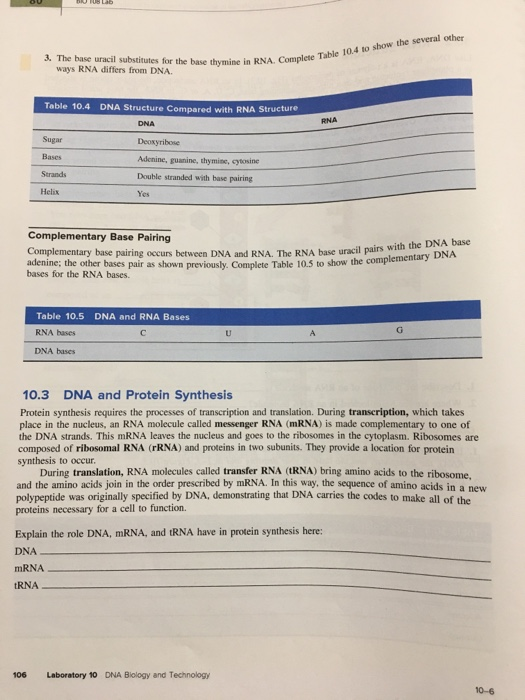 Solved the several other 10.4 to show t 3. The base uracil | Chegg.com
