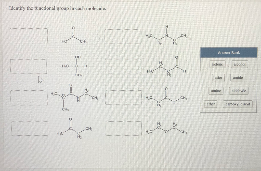 Solved Identify the functional group in each molecule. CH3 | Chegg.com
