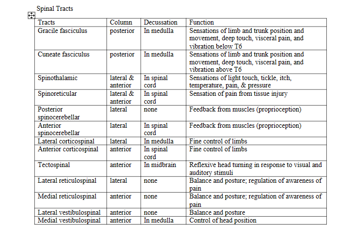 Spinal Tracts Functions