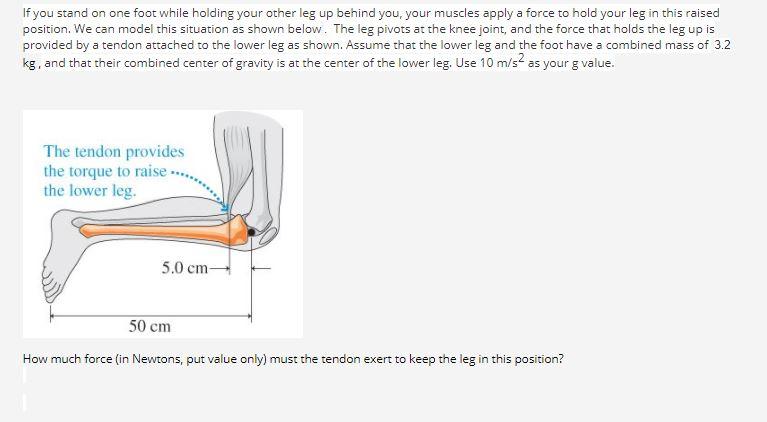 Solved If you stand on one foot while holding your other leg | Chegg.com