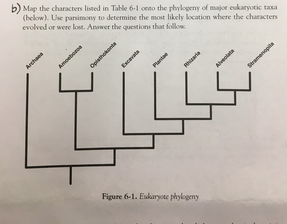 Solved a) Table 6-1. List of the seven major lineages of | Chegg.com