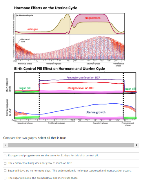 Solved Hormone Effects on the Uterine Cycle Mercycle | Chegg.com