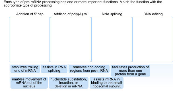 Solved Each type of pre-mRNA processing has one or more | Chegg.com