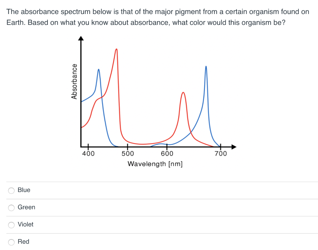 Solved The absorbance spectrum below is that of the major | Chegg.com