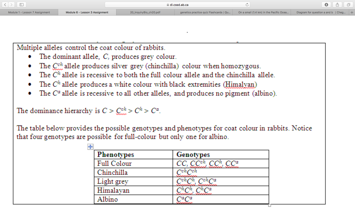 Solved Multiple alleles control the coat colour of rabbits. | Chegg.com