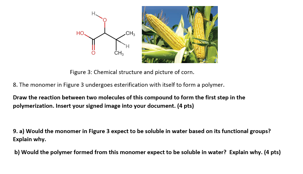 Solved Figure 3: Chemical structure and picture of corn. 8. | Chegg.com