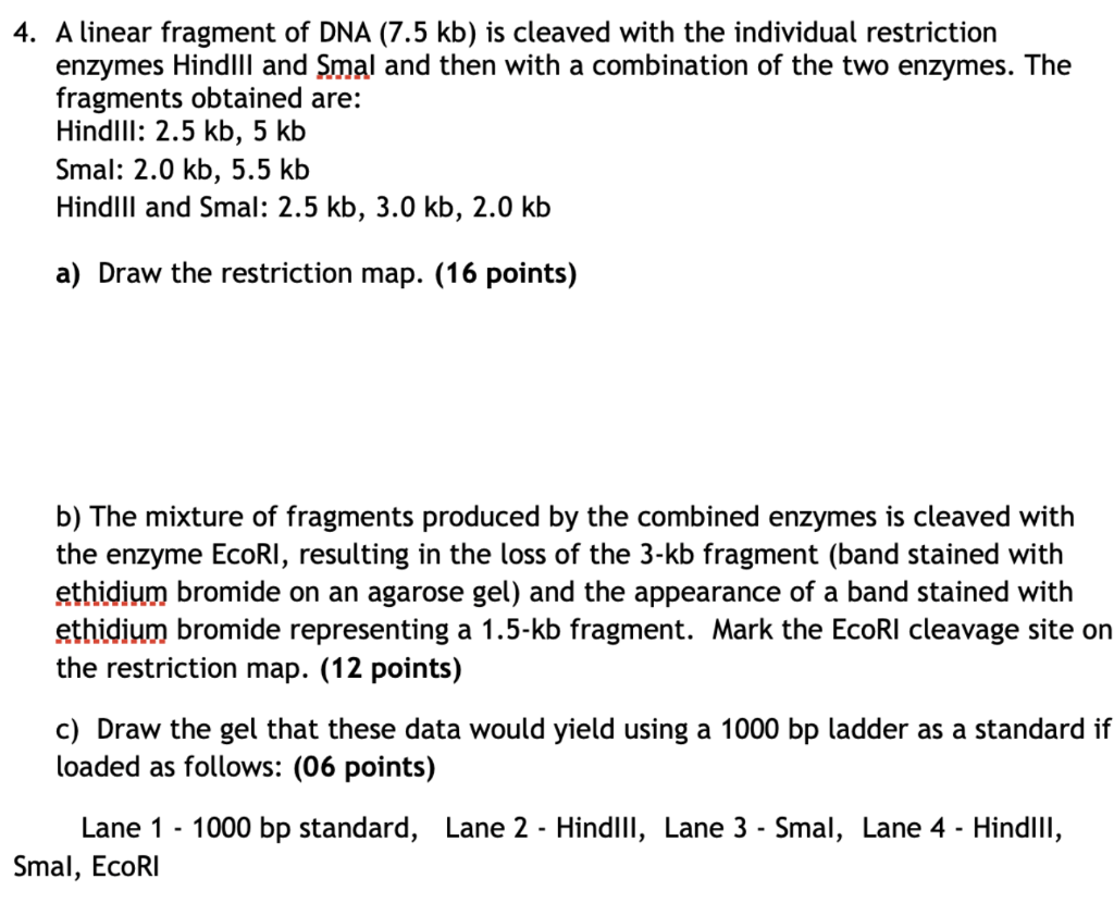 Solved 4. A linear fragment of DNA (7.5 kb) is cleaved with | Chegg.com