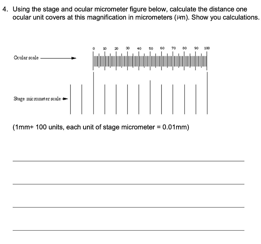 Solved 4. Using the stage and ocular micrometer figure | Chegg.com