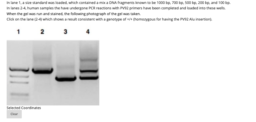 Solved QUESTION: which shows a result consistent with a | Chegg.com