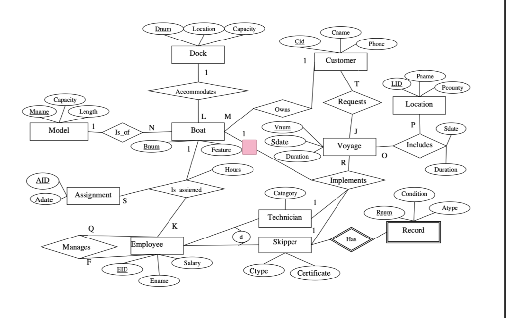 Solved Create A Logical Schema Using Oracle Dbms On The 