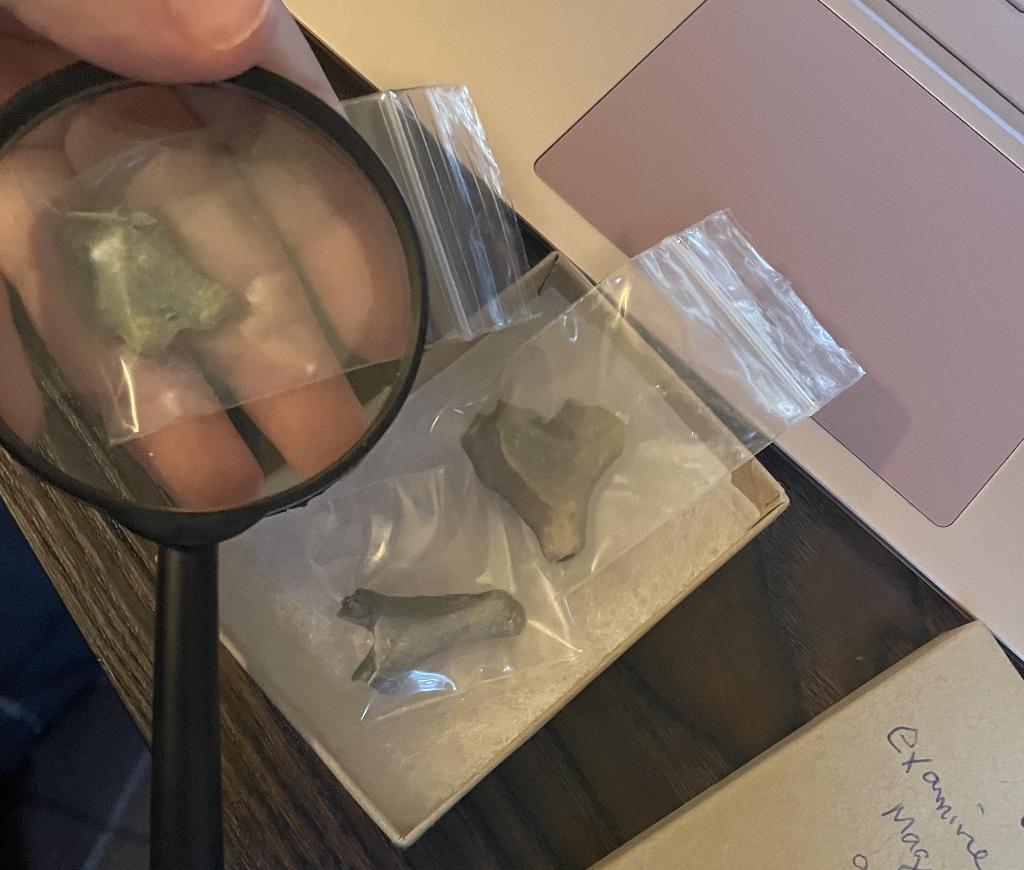 Solved Identify the type of fossil preservation shown in the | Chegg.com