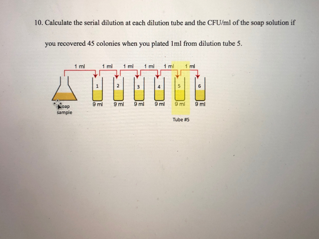 Solved 10. Calculate the serial dilution at each dilution | Chegg.com