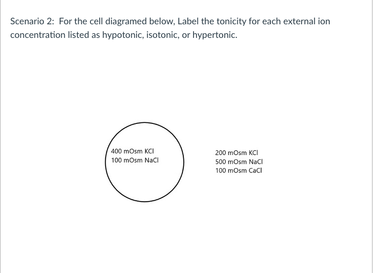 Solved Scenario 2: For the cell diagramed below, Label the | Chegg.com